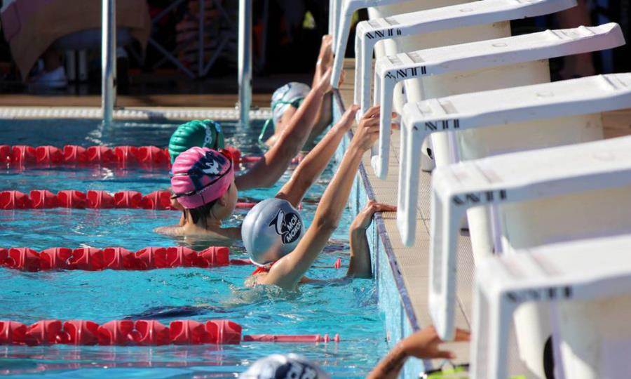 Squad Programs, Squads, Alite Edvantage